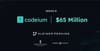 Codeium Raises $65 Million Series B for AI Coding Toolkit