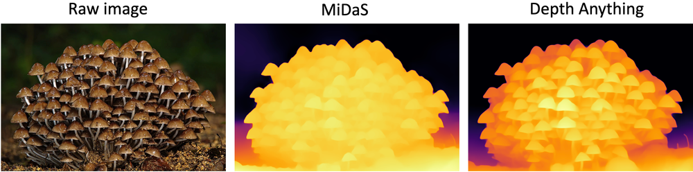 TikTok's Depth Anything Models Sets New Standards for Robust Image-Based Depth Estimation