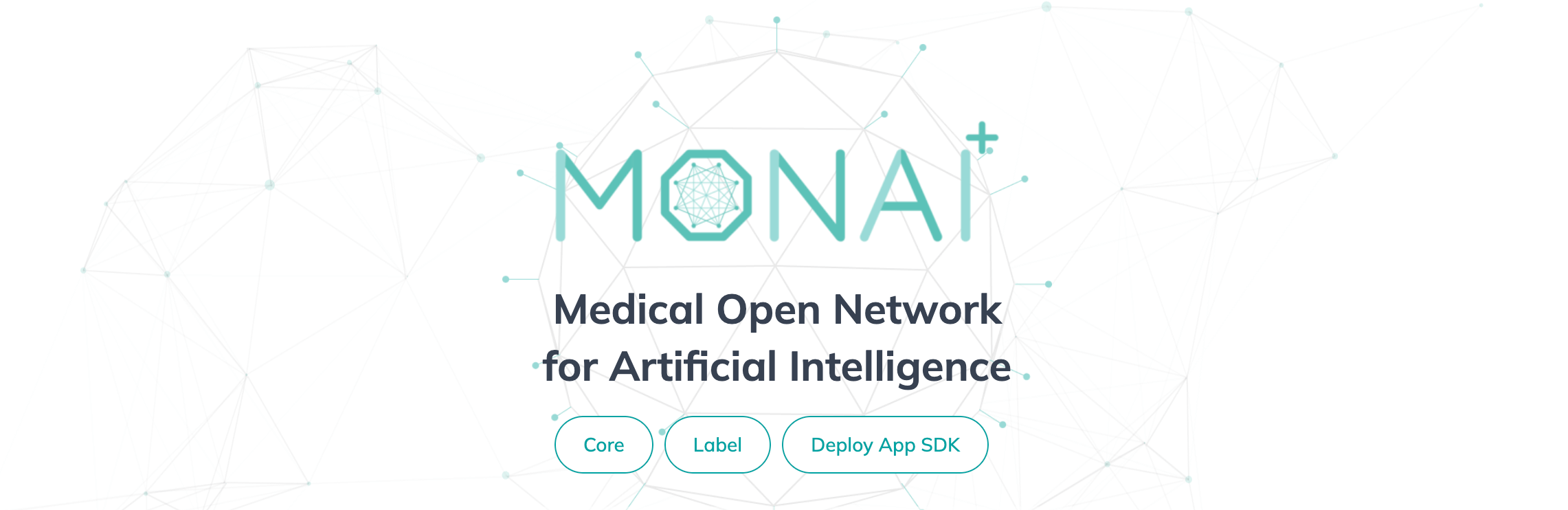 NVIDIA Launches MONAI to Streamline Medical Imaging AI Development