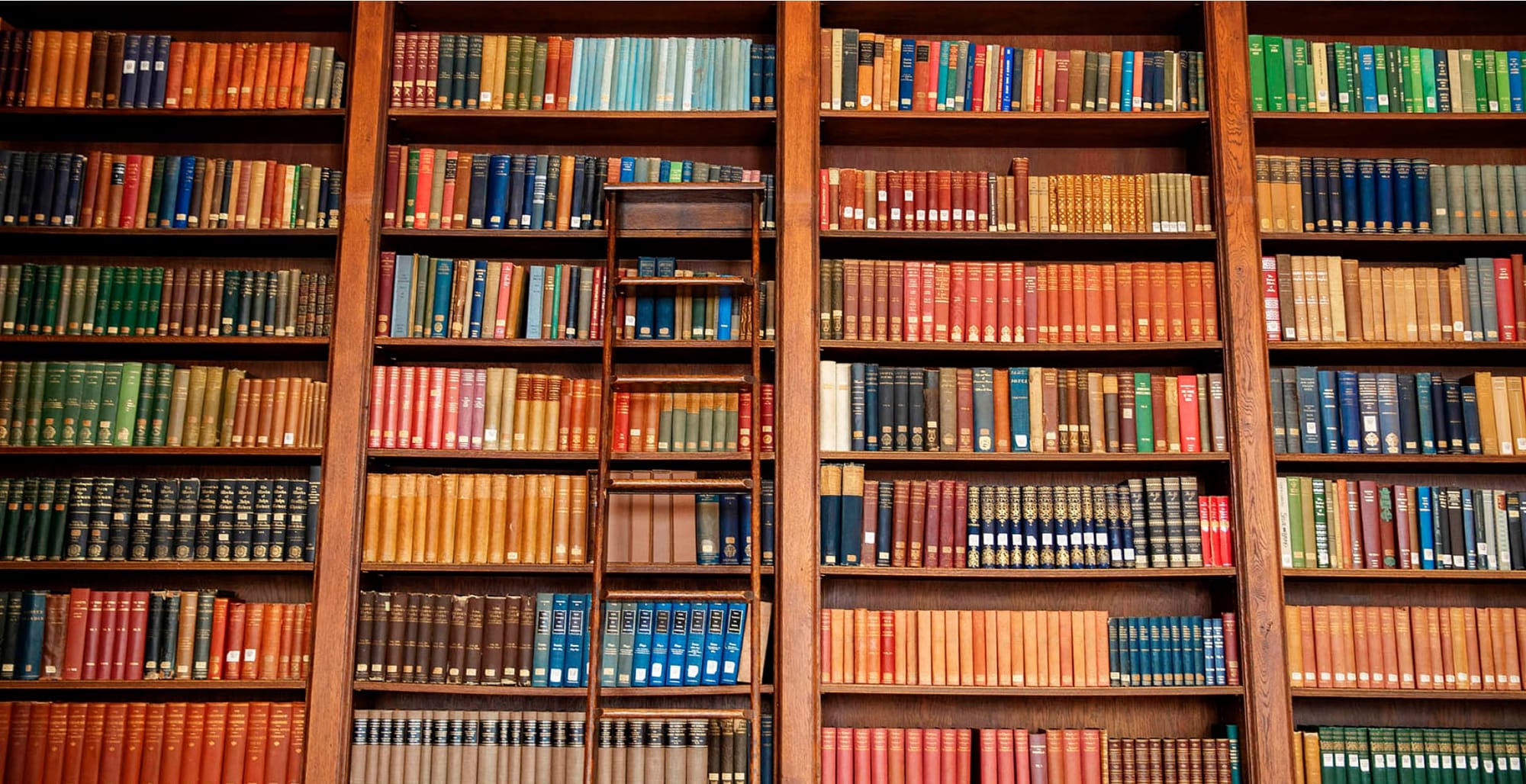 Harvard Releases Massive Public-Domain Dataset for AI Training