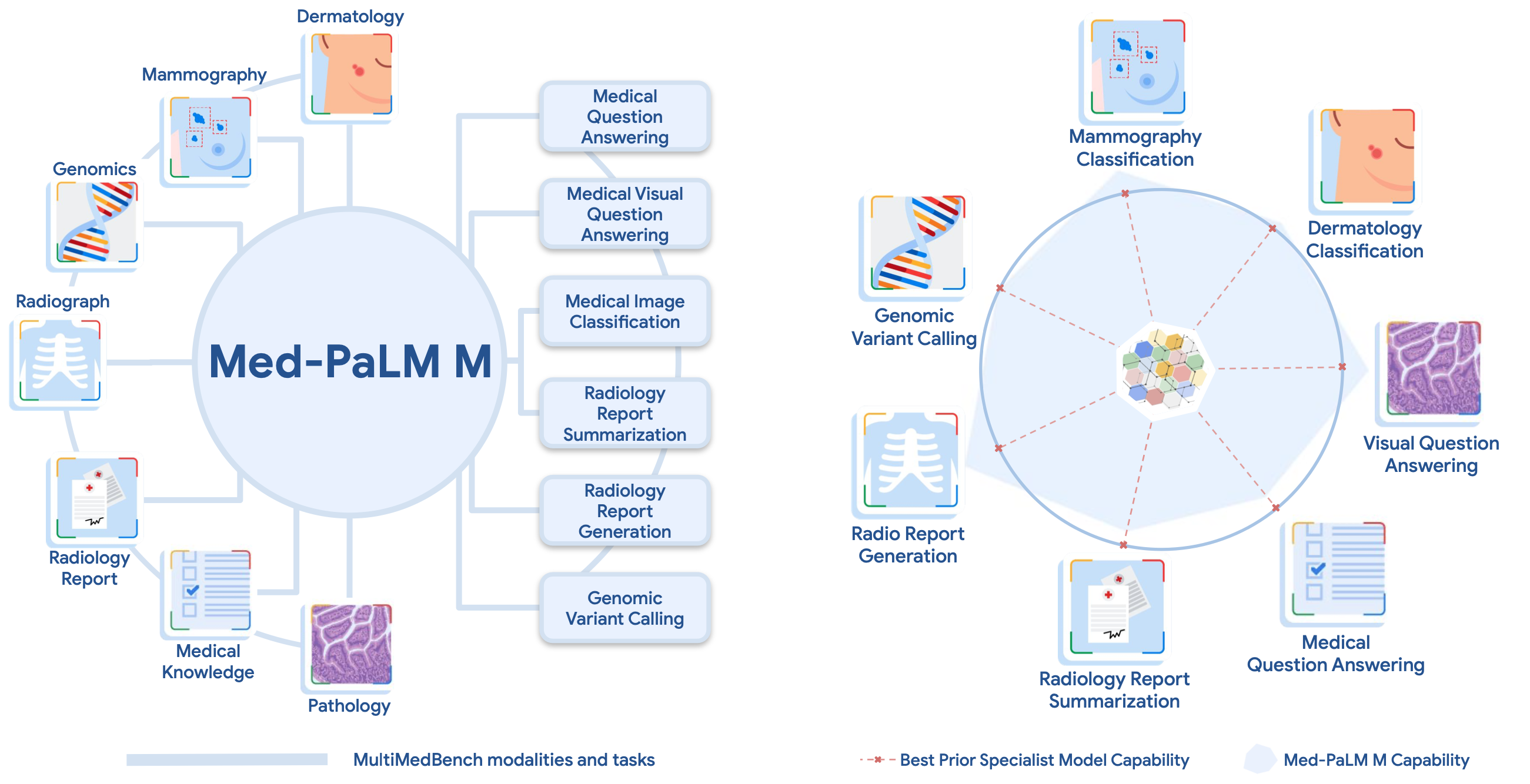 Med-PaLM M is a Multimodal Biomedical AI from Google Research and Google DeepMind